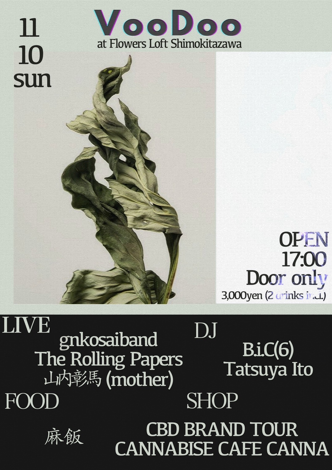 VooDoo - LOFT PROJECT